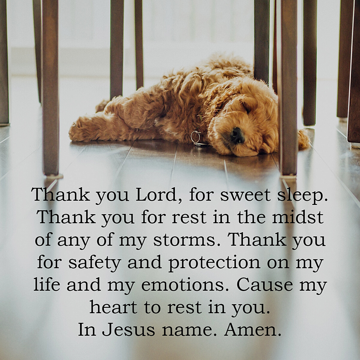 Sweet Rest of Sleep – Joyful Bliss Boutique